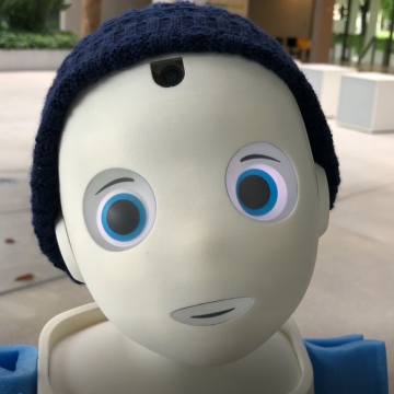 VIVA research project completed - navel robotics